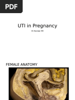 ACOG Clinical Consensus - UTIs in Pregnant Individuals | PDF | Urinary ...