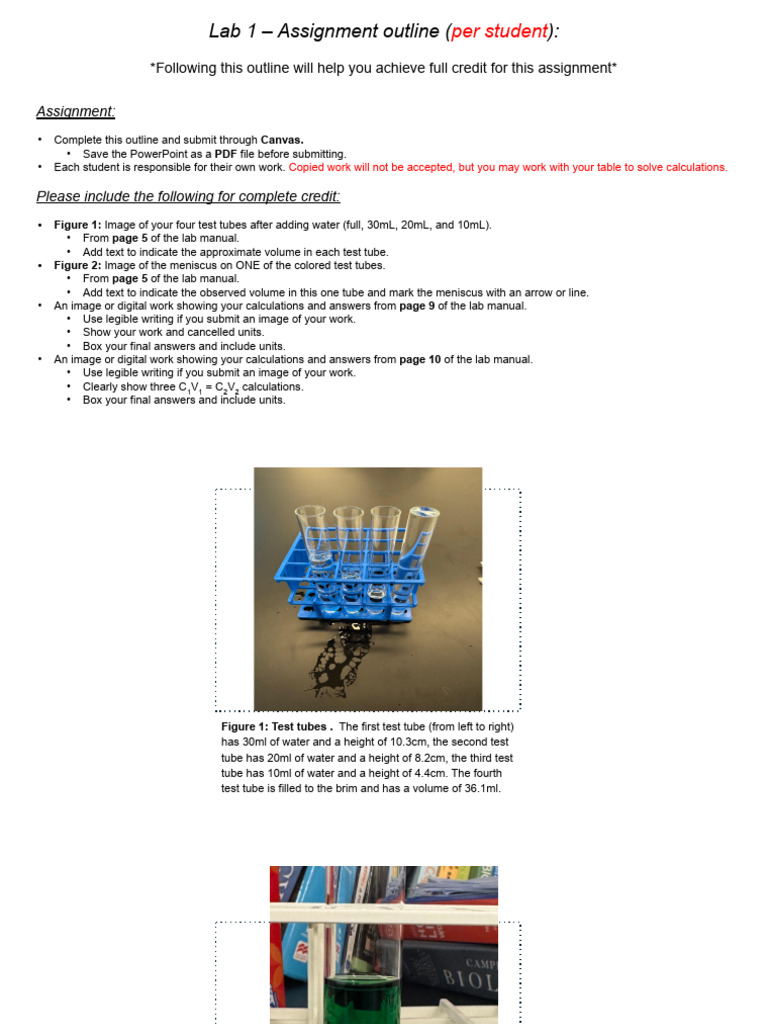 Biology Lab 1 - Assignment Outline | PDF | Hydrogen Peroxide | Glucose