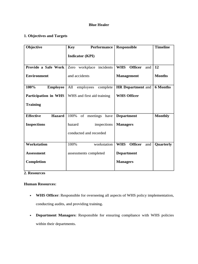 Second Draft WHS Action Plan | PDF | Audit | Internal Audit