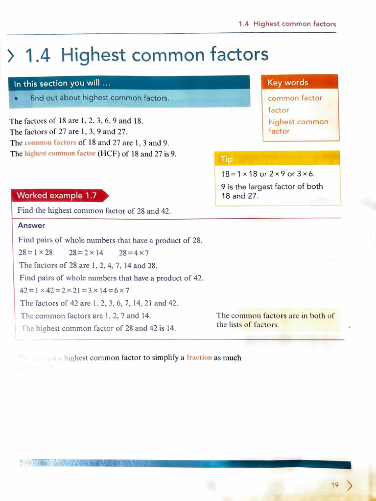 HCF LCM Divisibilty Grade 6 | PDF
