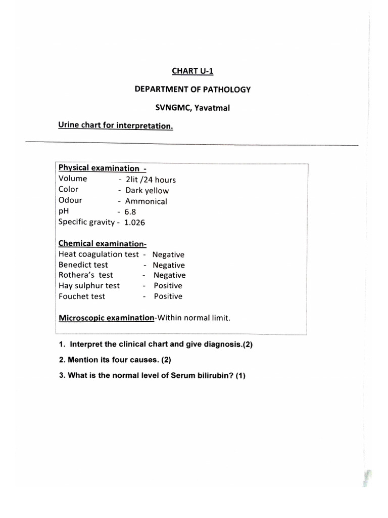 Urine Interpretation Chart's Answers (2) - 1 | PDF
