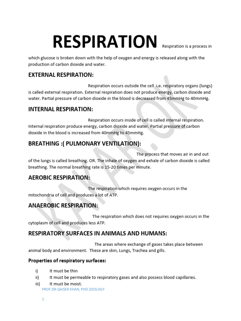 Understanding Human Respiration Process | PDF | Respiratory System ...