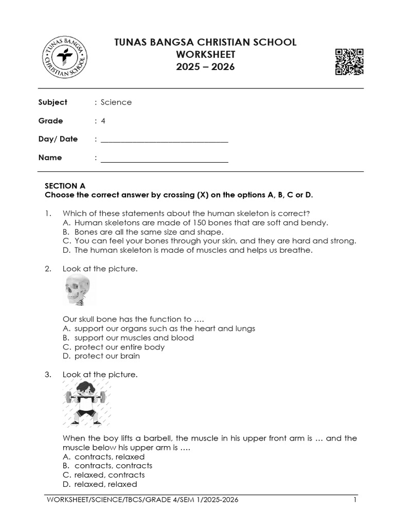 Worksheet (Unit 1 - Living Things) | PDF | Skeleton | Zoology