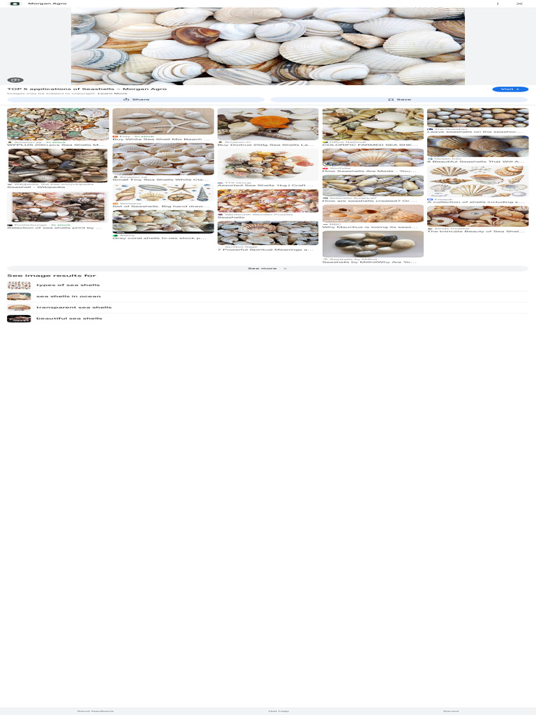 Sea Shells - Google Search | PDF | Animal Products | Skeletal System