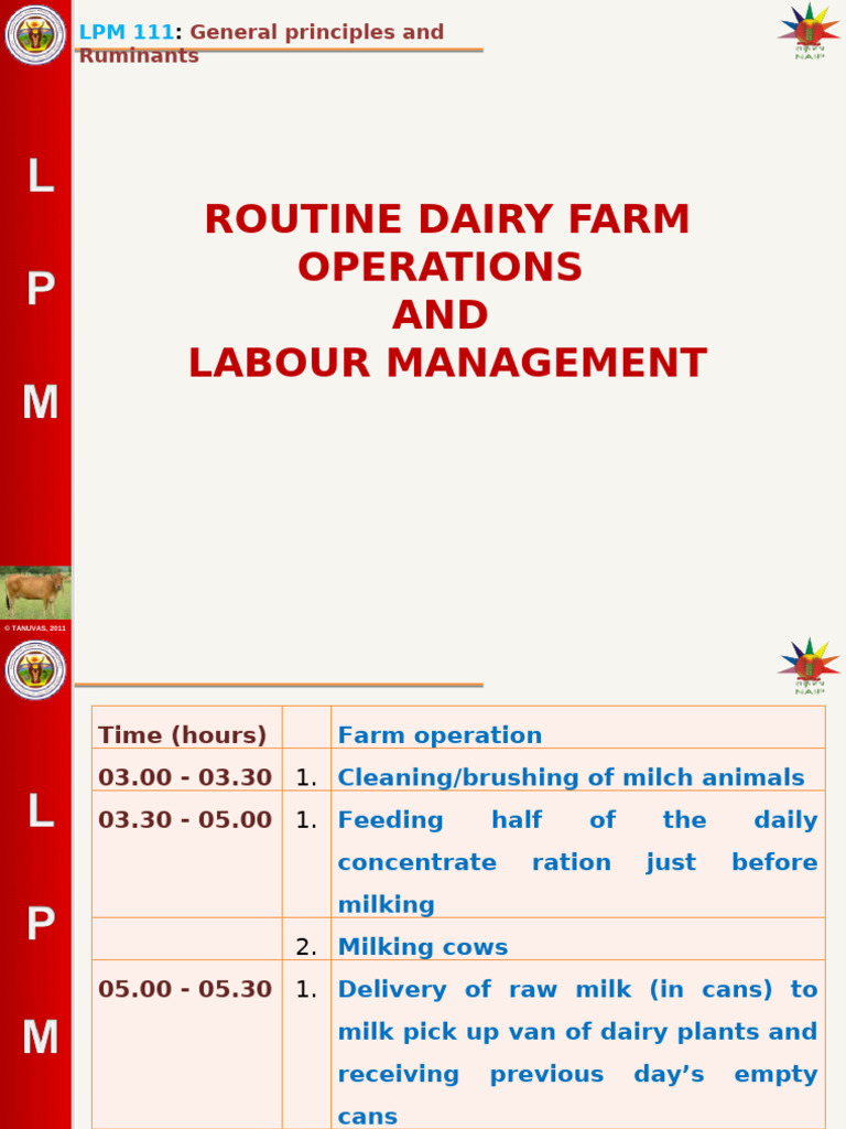 Dairy Farm Operations & Labor Management | PDF | Dairy Cattle | Cattle