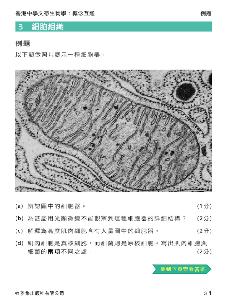 Ch03 Example C | PDF