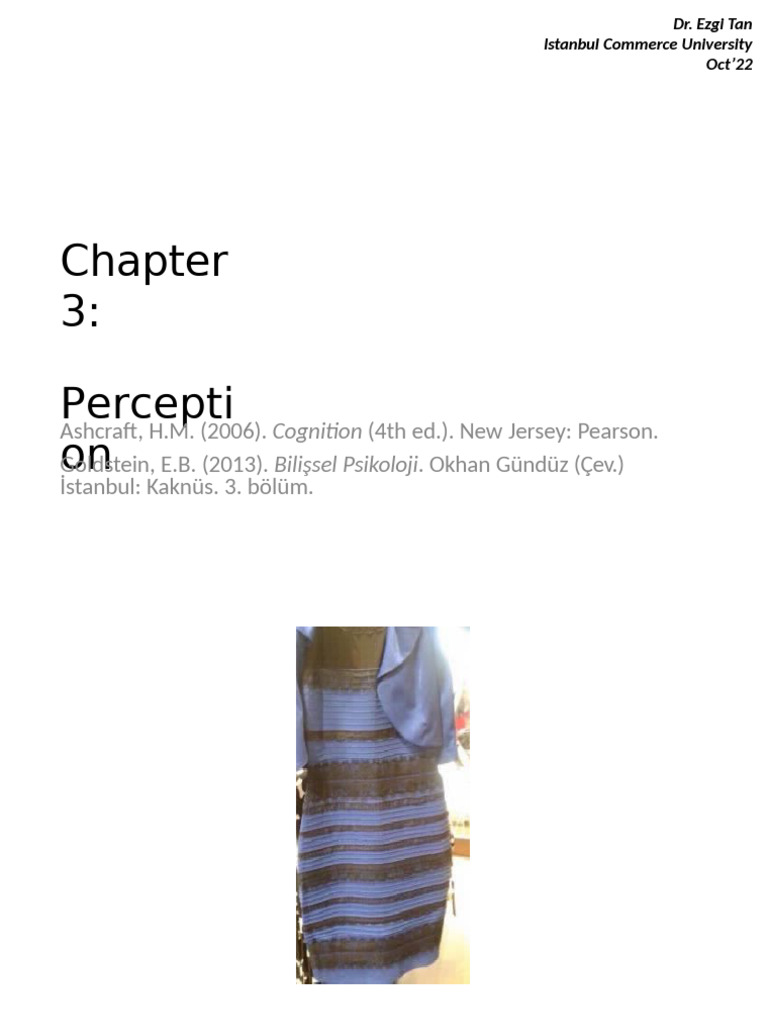 Understanding Perception and Cognition | PDF | Perception | Visual ...