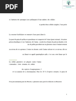 Le Carpelle : Organe des Angiospermes | PDF | Fruit | Embryon
