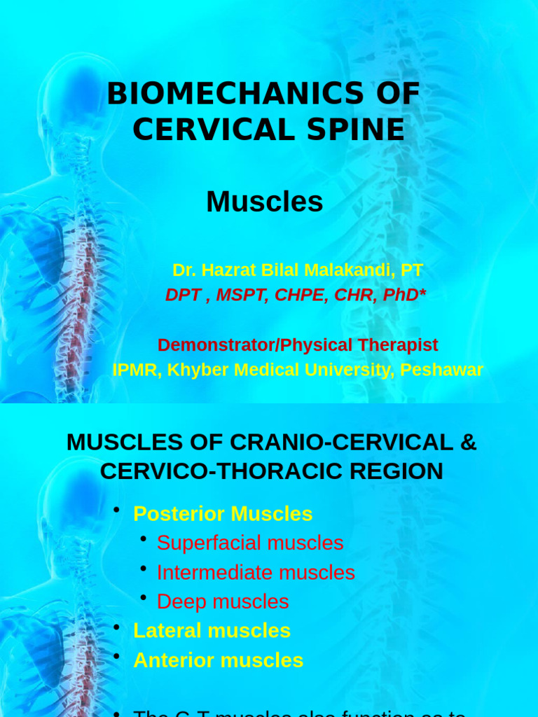 Cervical Spine Muscle Biomechanics | PDF | Vertebra | Anatomical Terms ...