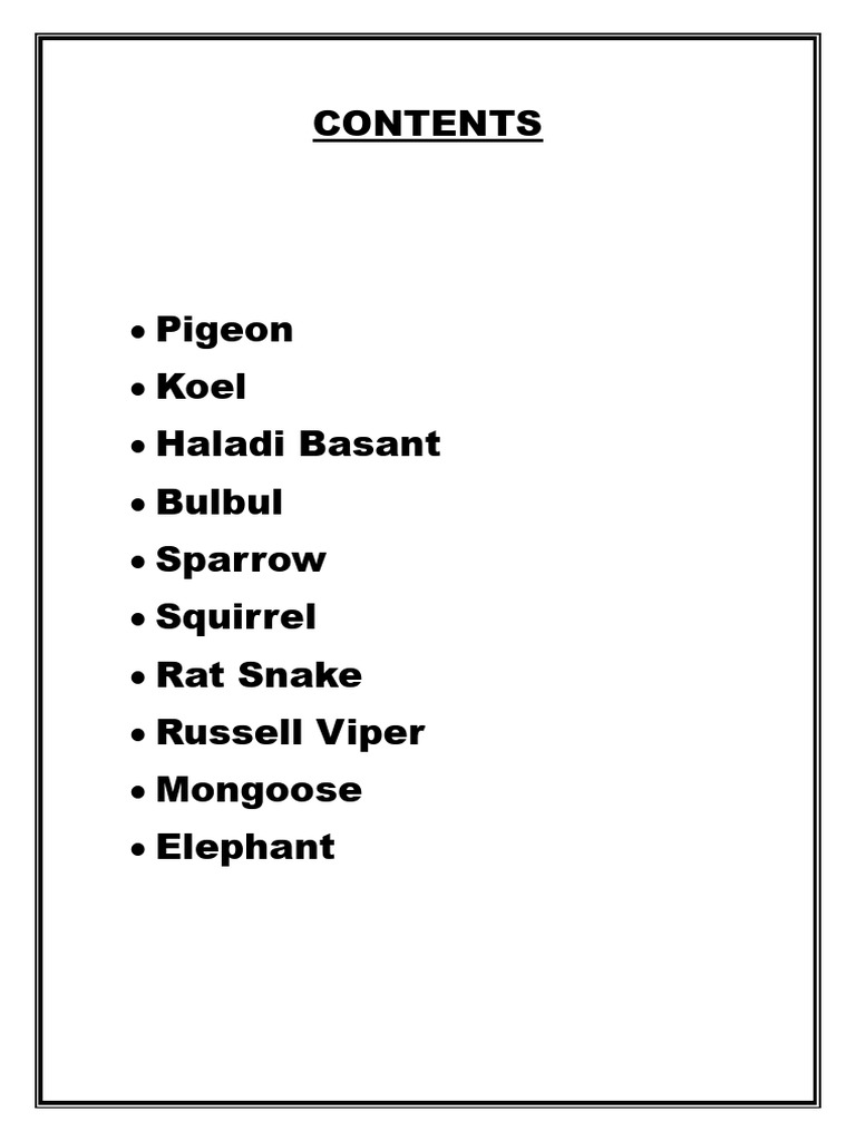 Local Animals and Birds Project | PDF | Squirrel | Snake