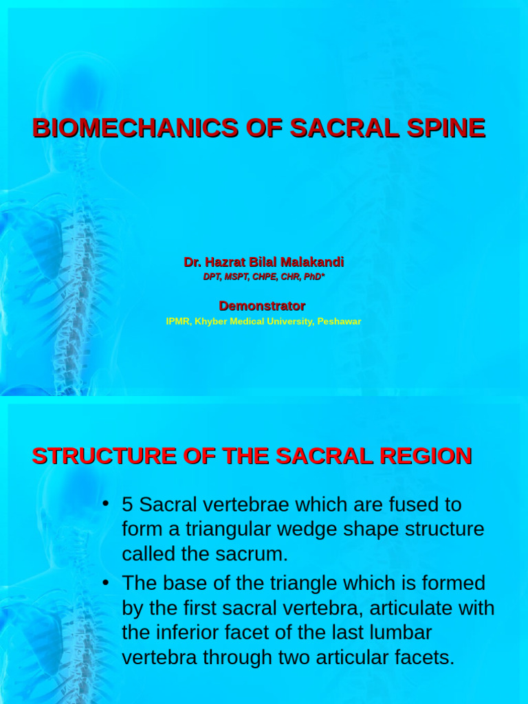 8 Biomechanics of Sacral Spine Same | PDF | Pelvis | Vertebra
