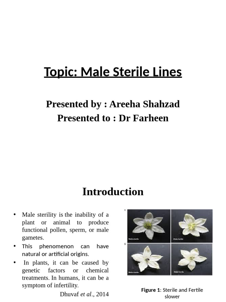 Areeha DR Farheenvdfbhjkvdghjklnbhmj, LVCBHJ | PDF | Biology | Plant ...