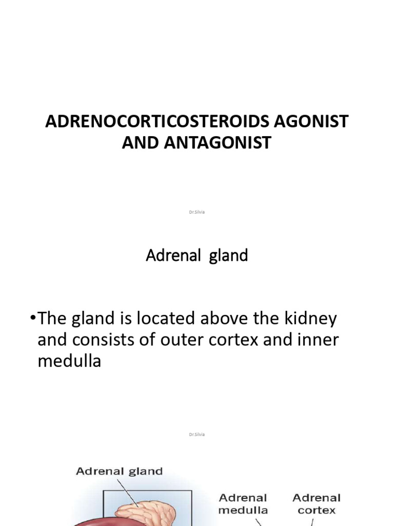 Adrenocorticosteroids Overview and Effects | PDF | Glucocorticoid ...
