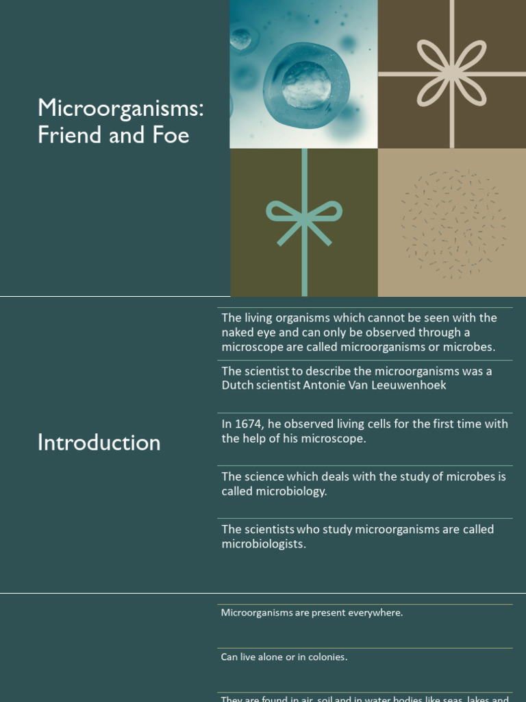 Microbes Introduction ch2 | PDF | Microorganism | Bacteria