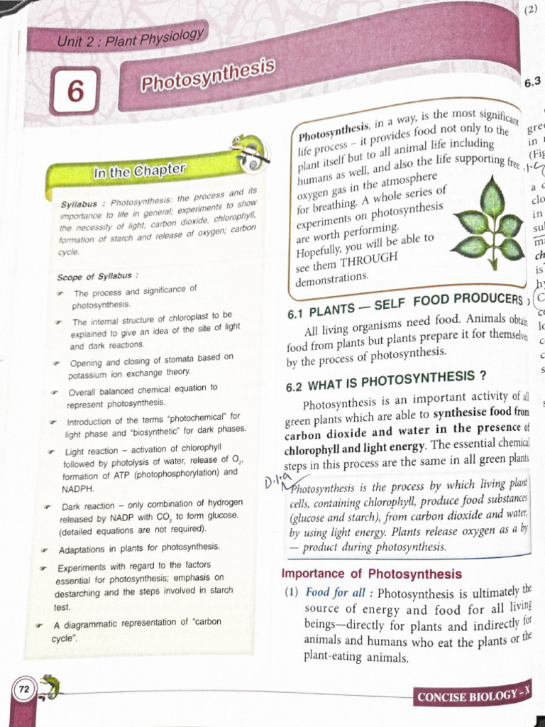 Photosynthesis 12 Jul 2025 11-45-25 | PDF