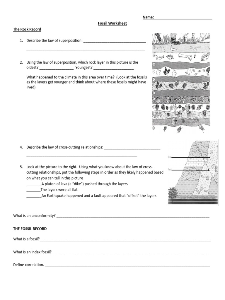 Fossil Worksheet: Understanding Rock Layers | PDF | Fossil | Geology