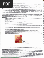 Practical 6 | PDF | Pollen | Staining