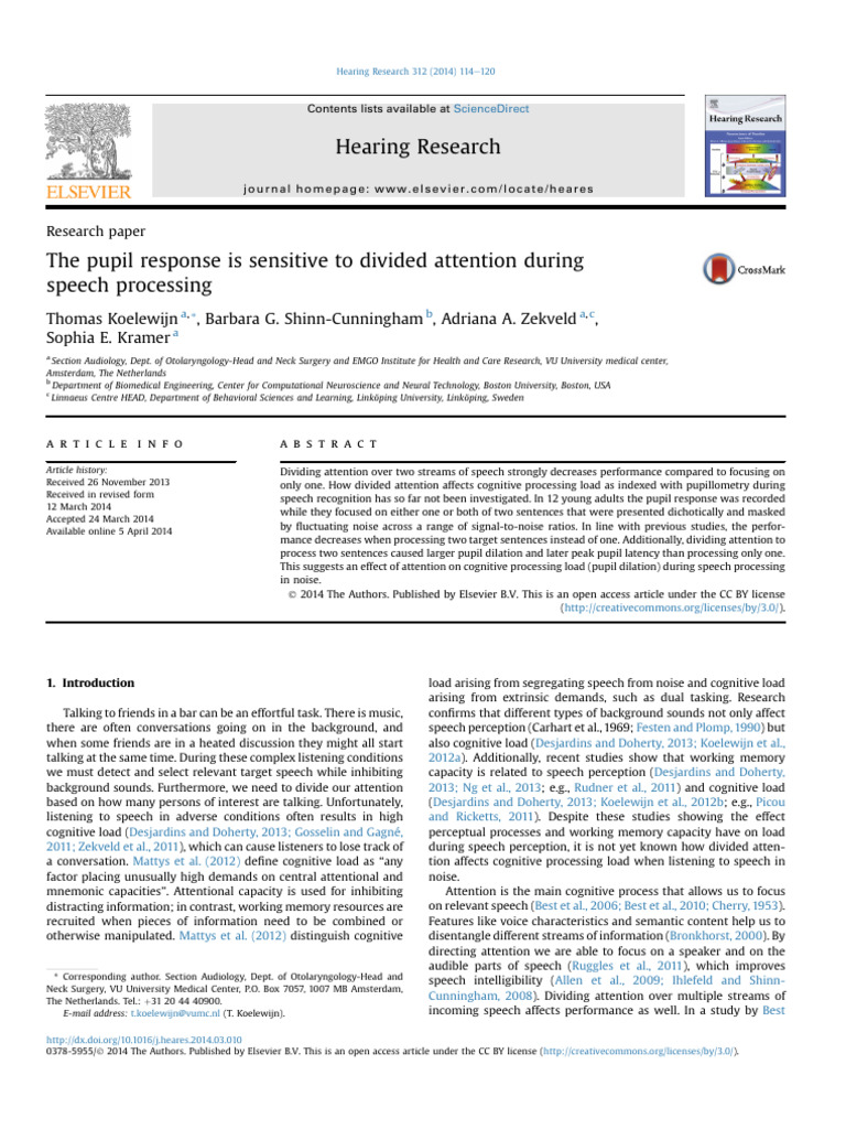Pupil Response and Divided Attention in Speech | PDF | Attention ...