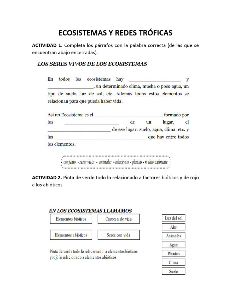 Cadena Alimenticia Ejercicio 1 | PDF