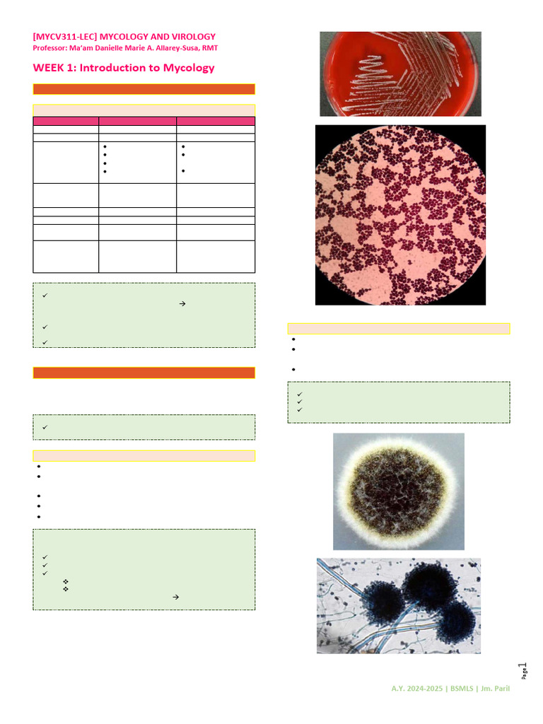 W1 - Introduction To Mycology | PDF | Biochemistry | Chemistry