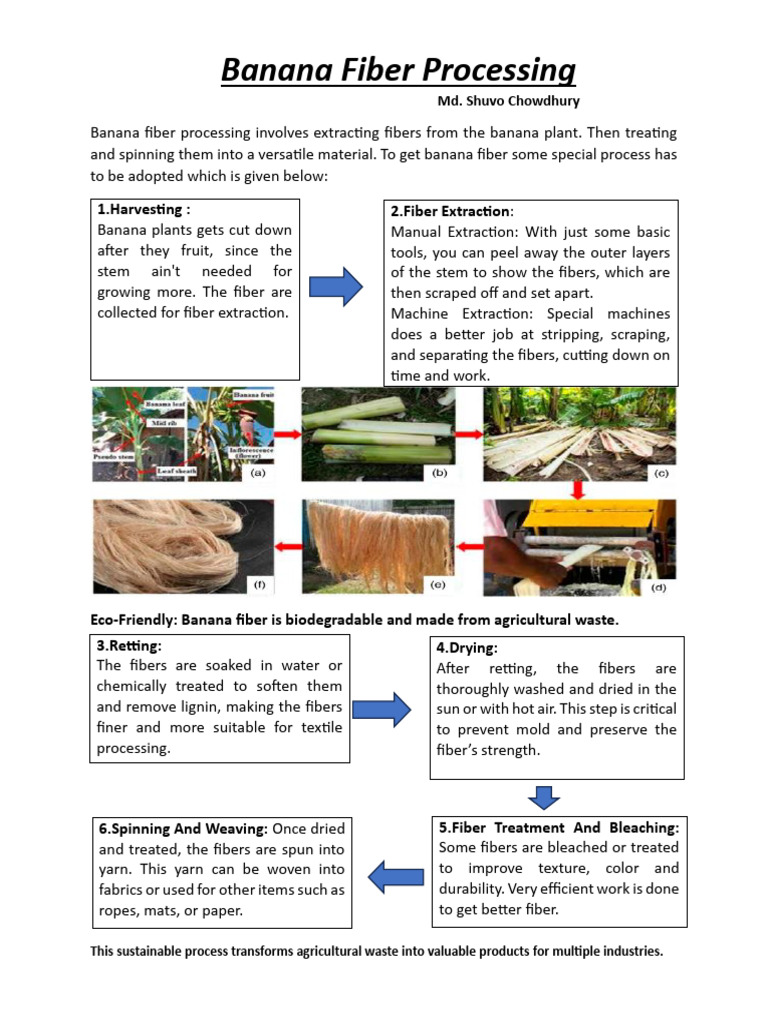 Banana Fibre Processing | PDF