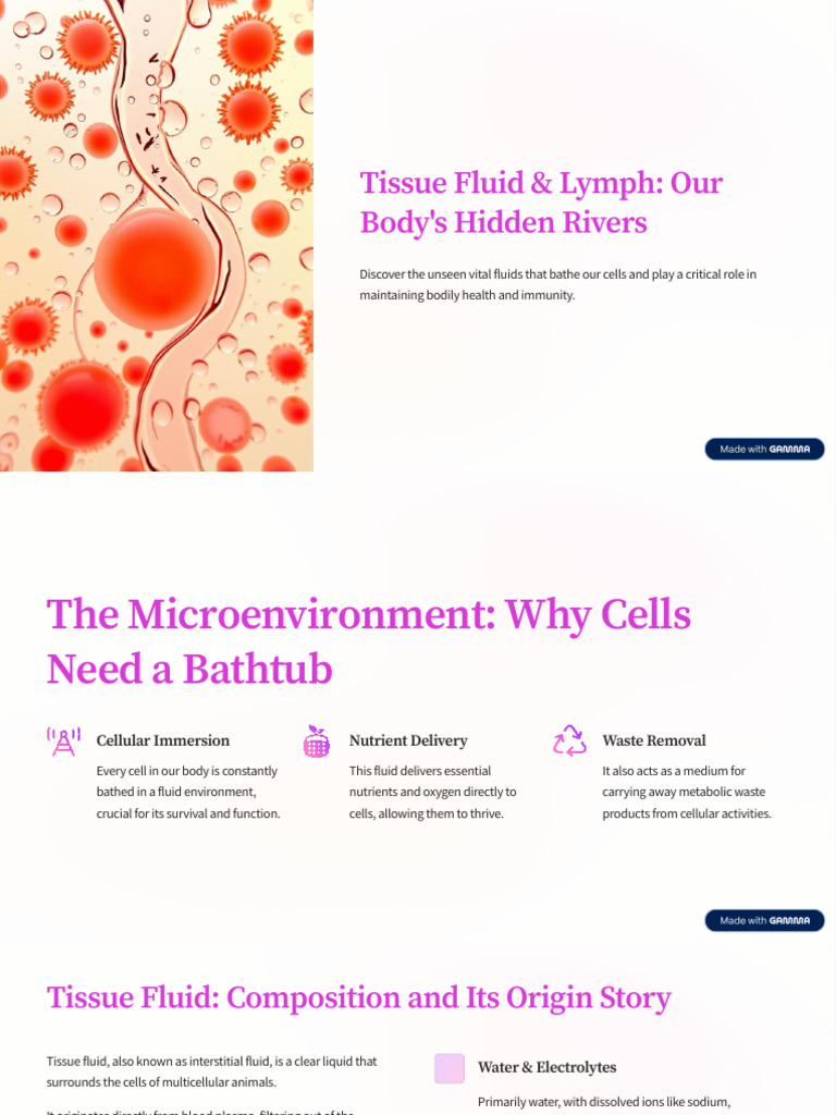 Tissue Fluid and Lymph Our Bodys Hidden Rivers | PDF | Lymph | Anatomy