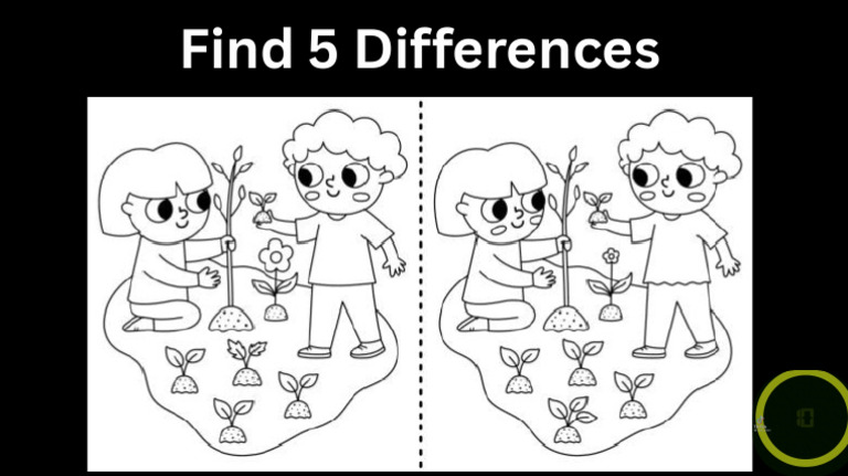 Find 5 Difference S - 20250815 - 214028 - 0000 | PDF