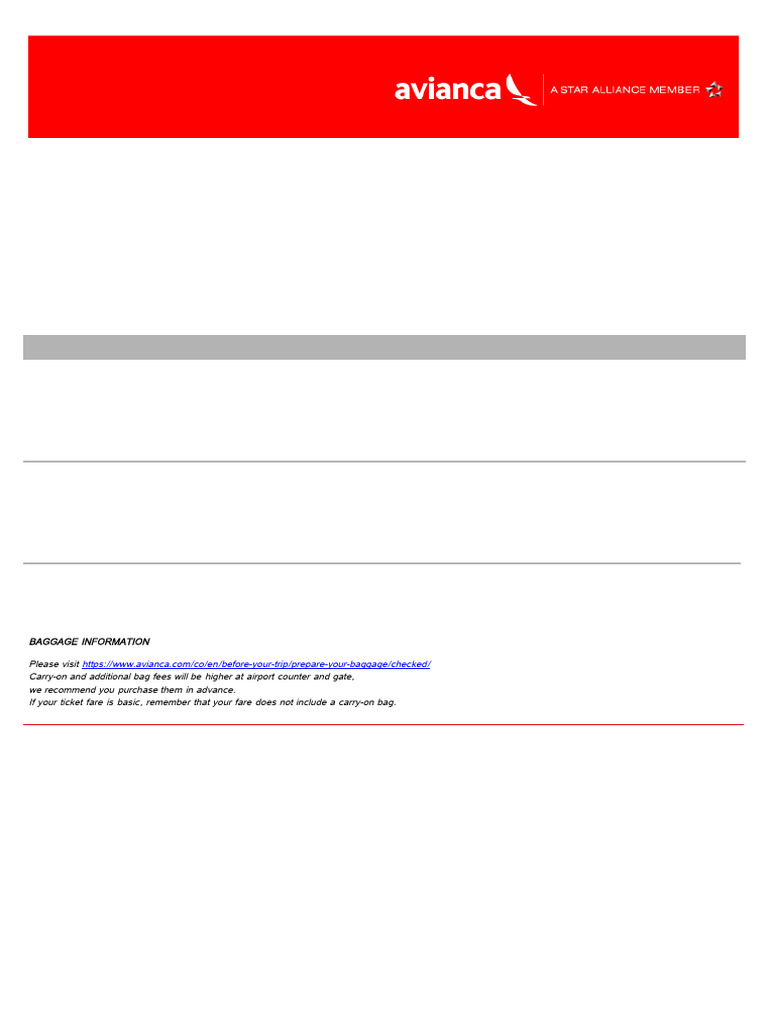 Ticket Receipt for Brayan Andres L. | PDF