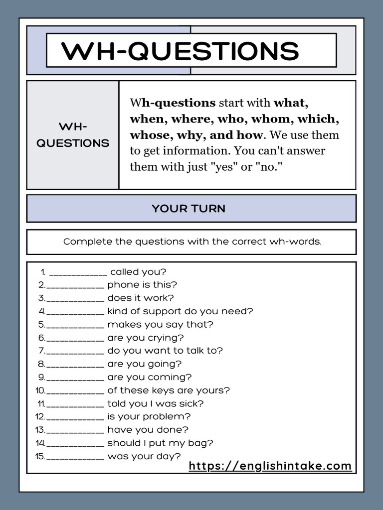 WH Questions Worksheet | PDF