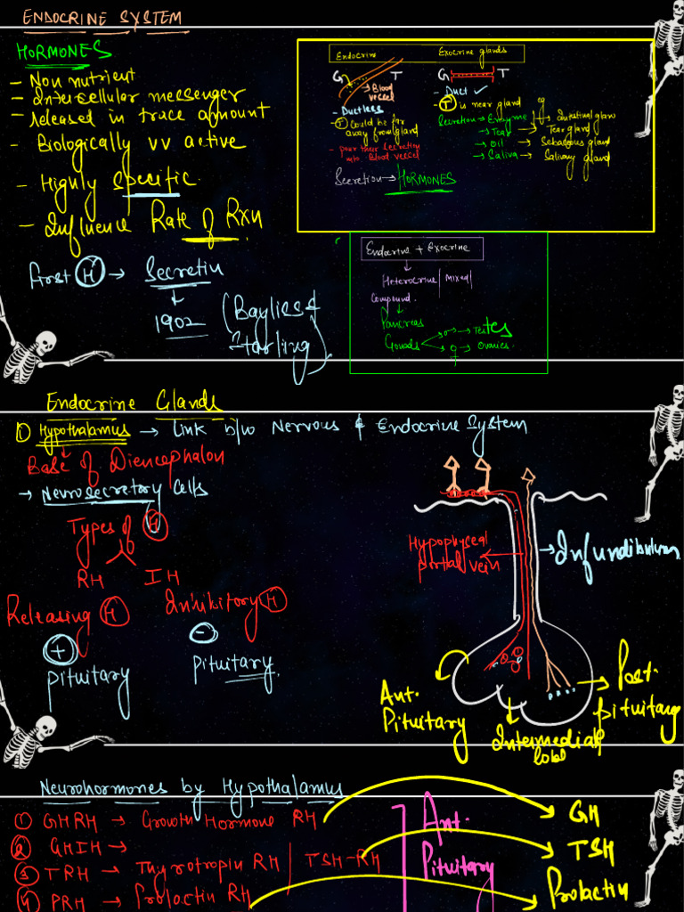 Chemical Control and Coordination Notes | PDF