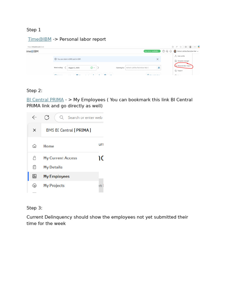 IBM Time Submission Guide | PDF
