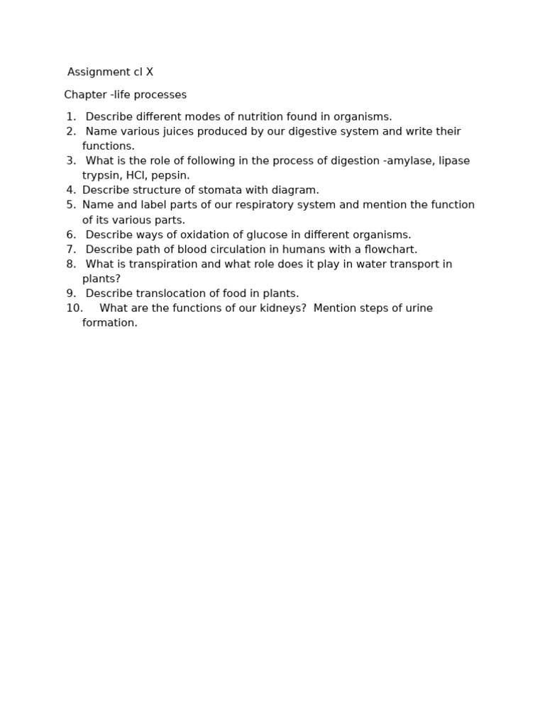 HY Assignment X | PDF