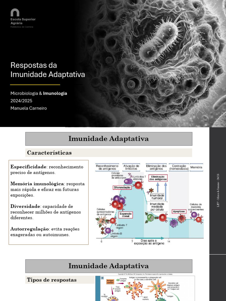 Respostas da Imunidade Adaptativa | PDF | Sistema imunológico | Célula T