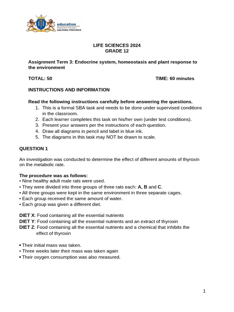 Grade 12 Life Sciences: Endocrine System Analysis | PDF | Insulin ...