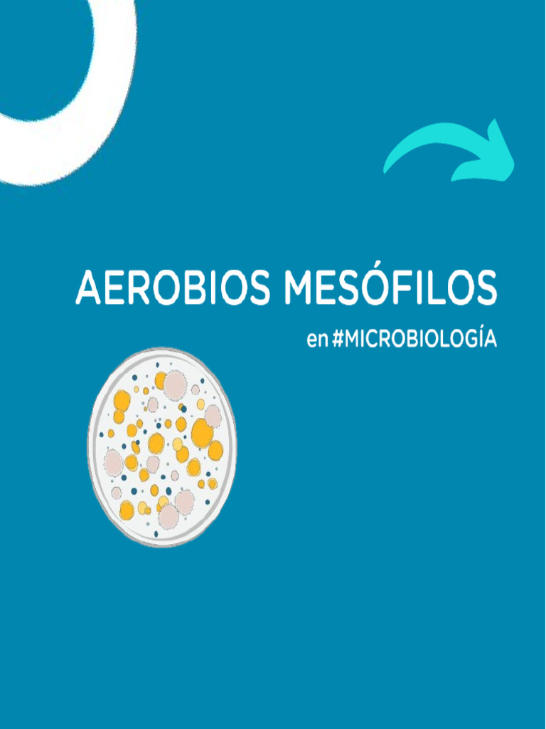 Aerobios Mesofilos | PDF