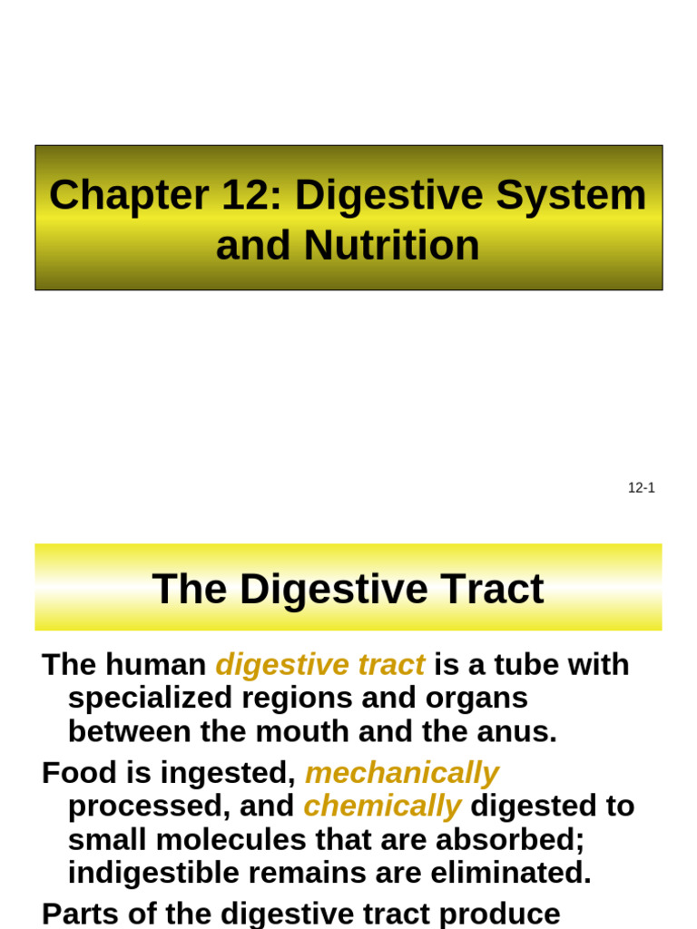 Digestive System and Nutrition Overview | PDF | Human Digestive System ...