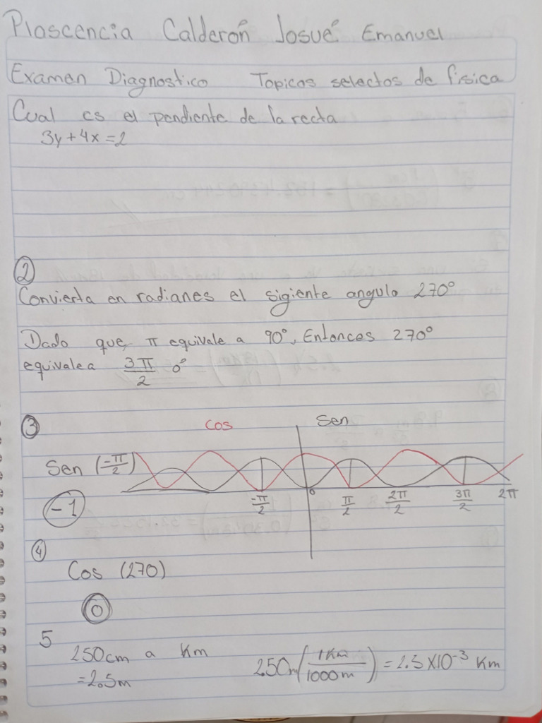 Plascencia Calderon Josue Emanuel Examen Diagnostico | PDF