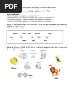 PRUEBA LETRAS T, D, N - 1° Basico | PDF