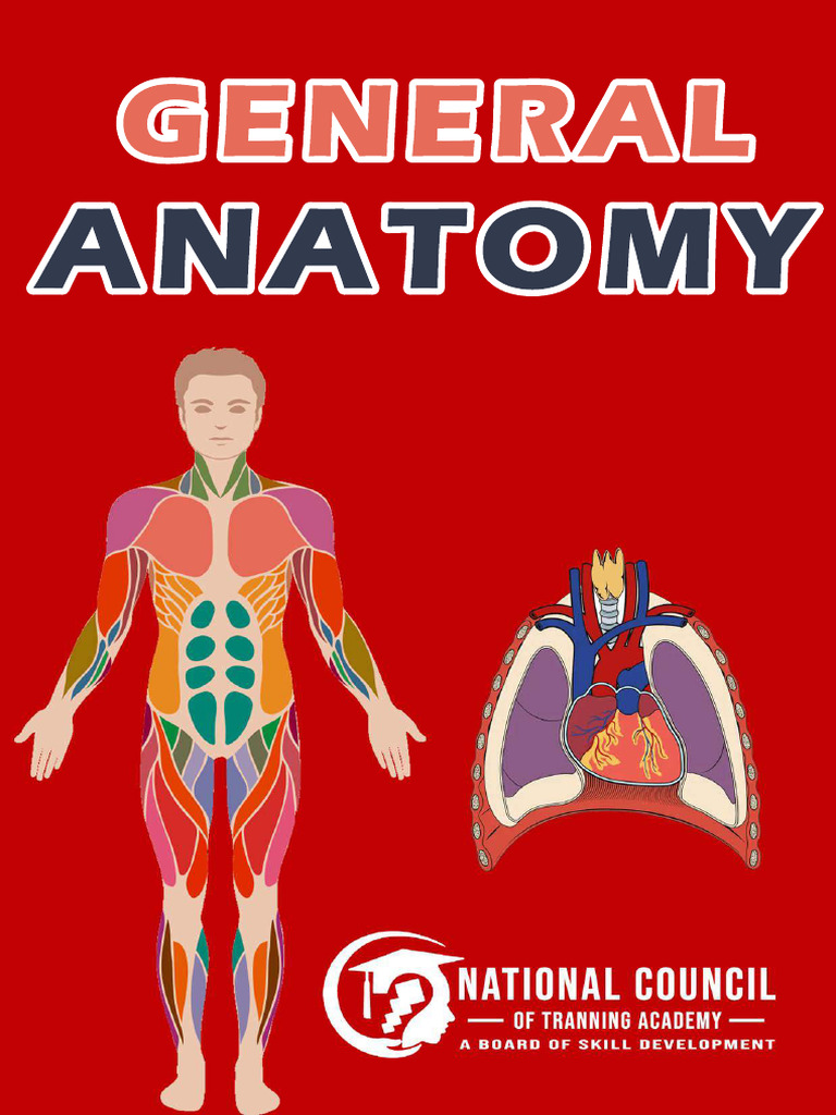 Anatomy of Joints and Movements | PDF | Anatomical Terms Of Motion | Bone
