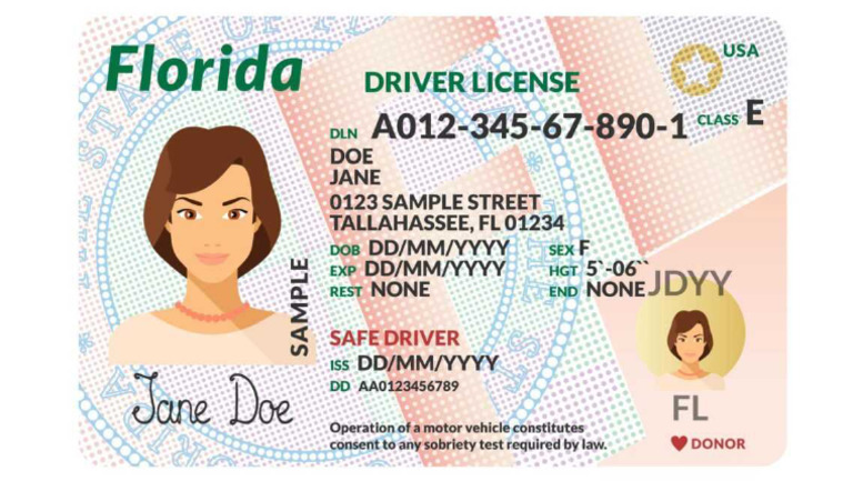 FL DL Vector | PDF