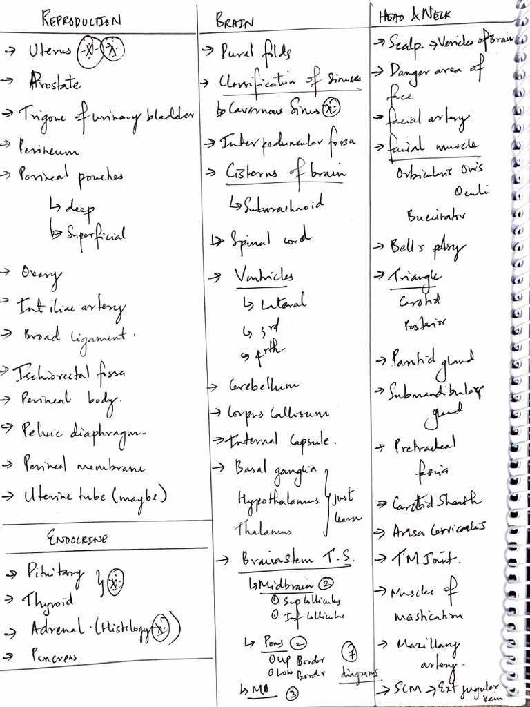 Anatomy Paper 2 University Important Question | PDF