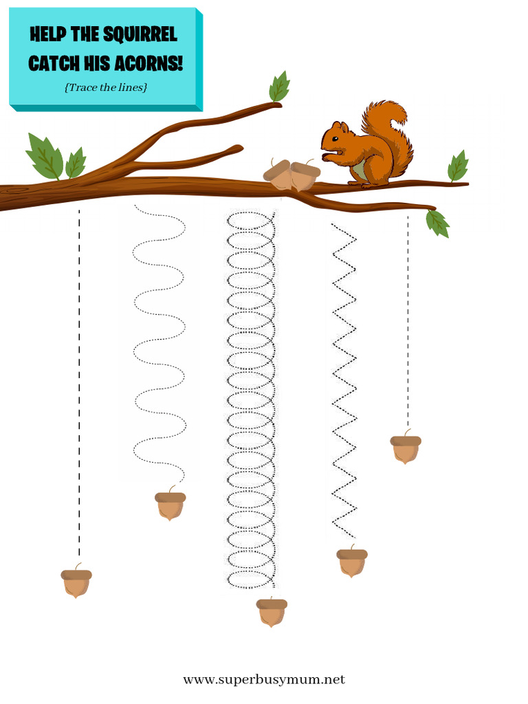 Squirrel and Acorn Tracing Worksheet | PDF