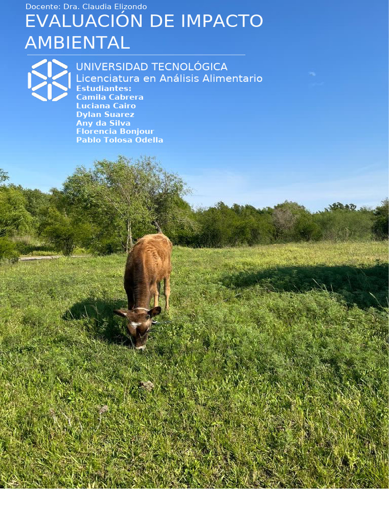 EIA Trabajo Final | PDF