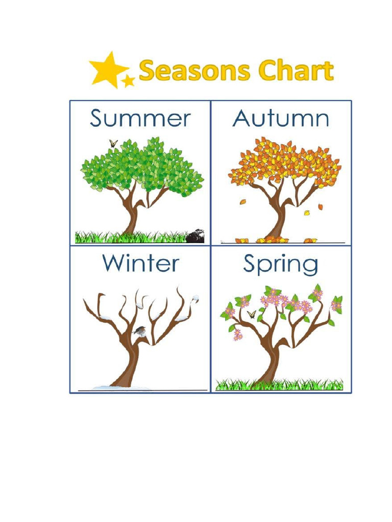 Flash Card On Seasons Chart | PDF