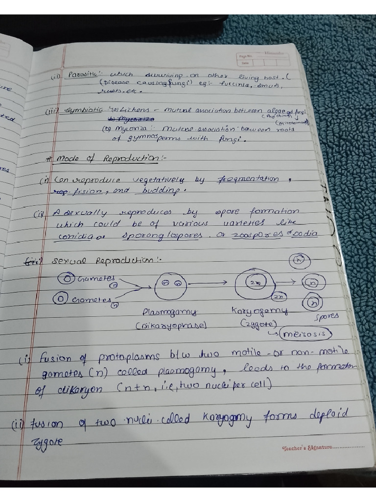 Class 11 Bio CH 2 Notes | PDF