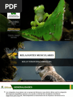 Succinilcolina: Uso y Precauciones | PDF | Farmacología | Medicina
