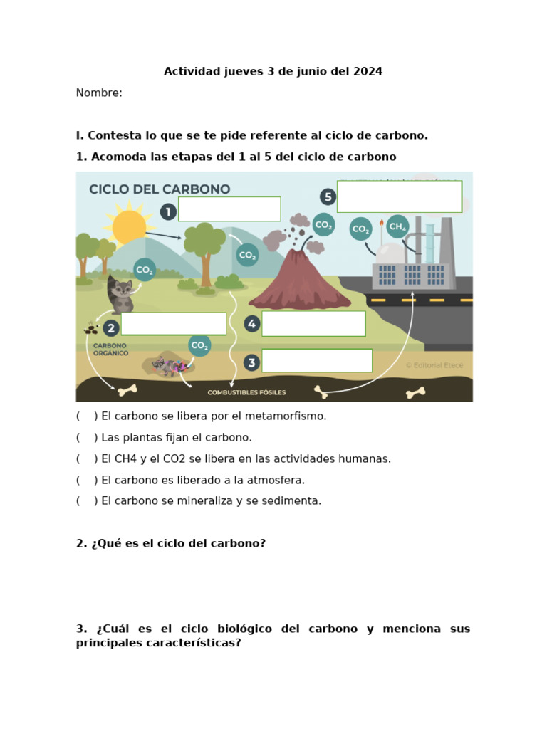 Actividad Ciclo de Carbono | PDF