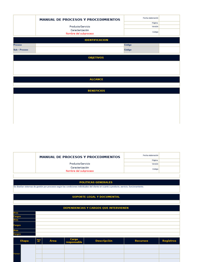Formato de Procesos | PDF | Business | Informática