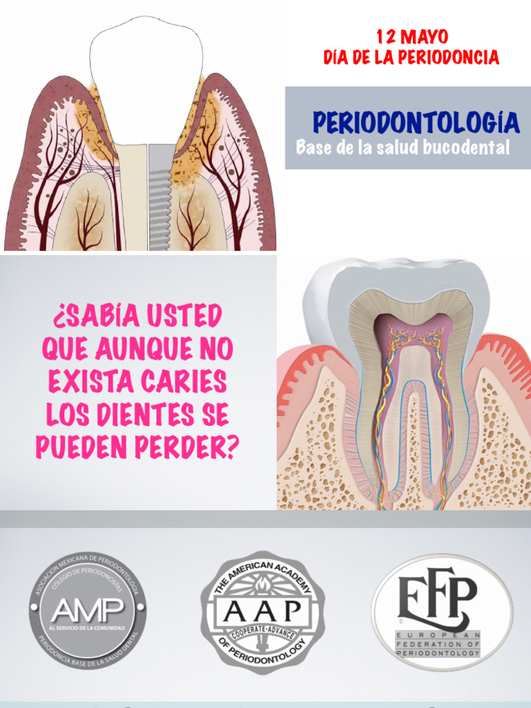 Conceptos Básicos de Periodontología | PDF | Ramas de Odontología ...