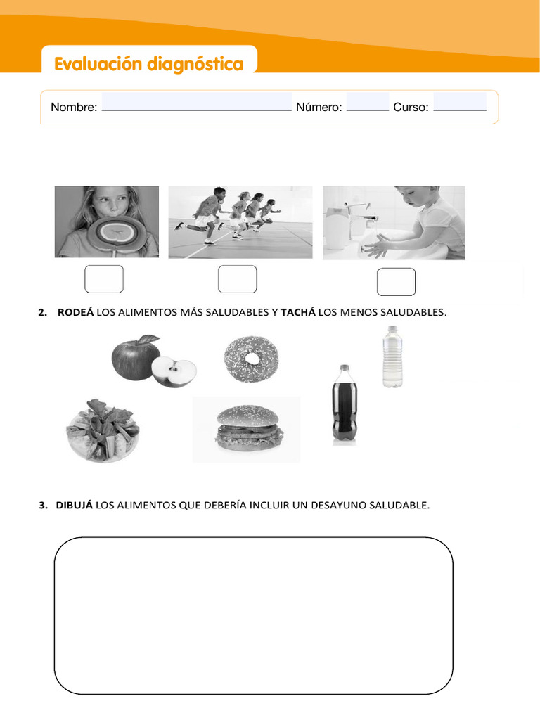 Evaluacion Diag 1ro PDF | PDF